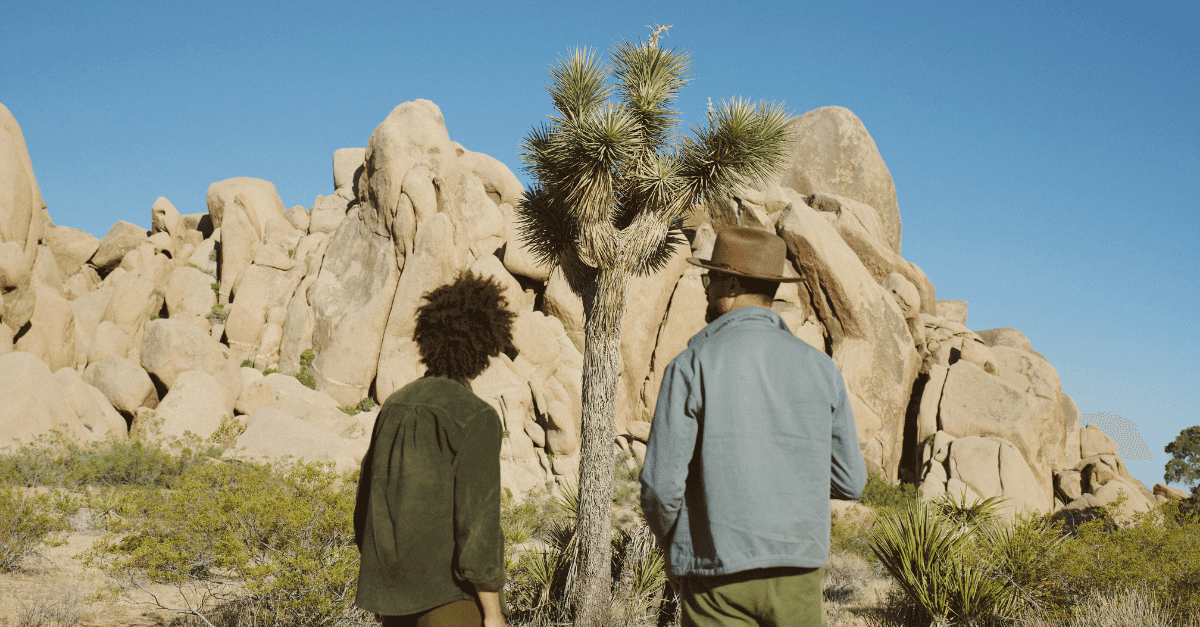 Plan Your Joshua Tree Stay | Field Station